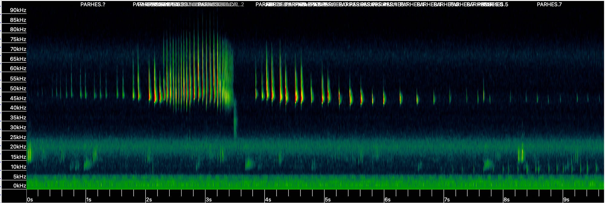 Collecting historical bat data in a restored native garden - Gottlieb ...