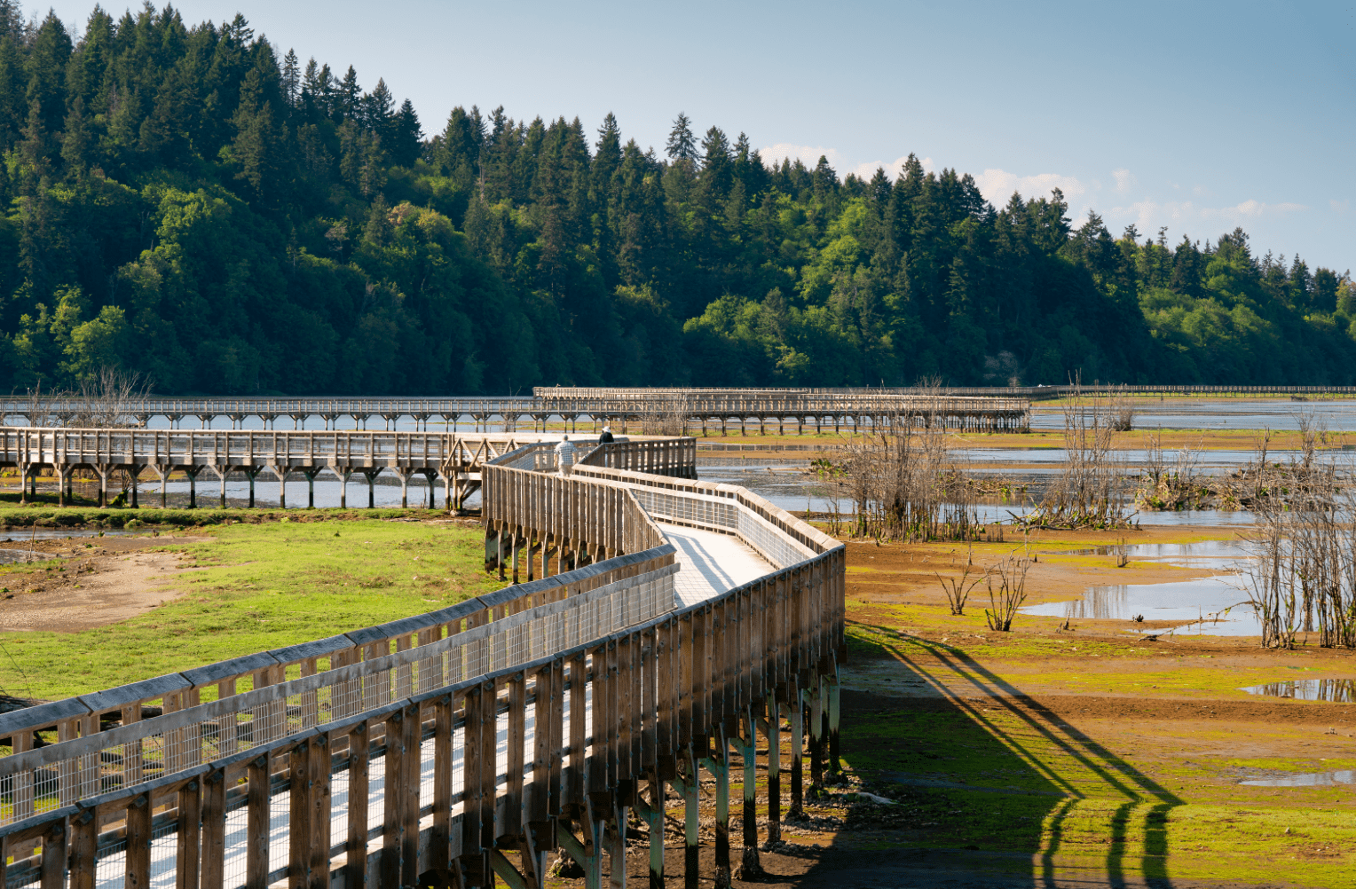 The Refuges of Interstate 5 - Gottlieb Native Garden