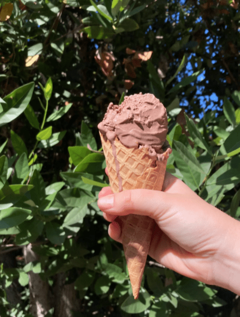 California Botanic Garden Offers Opportunity To Taste Desserts Made With Native Plants