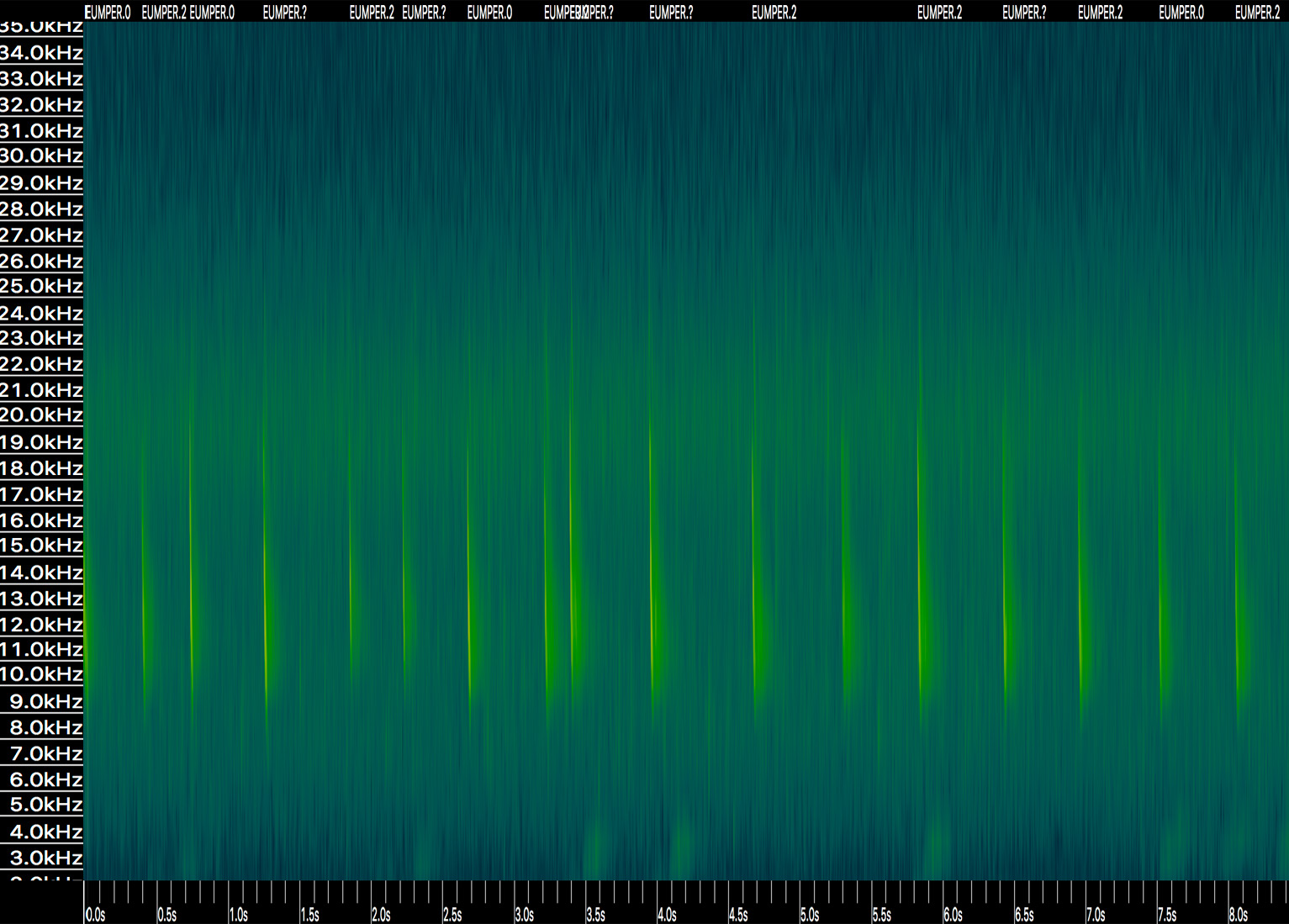 9th Species of bat confirmed - Gottlieb Native Garden