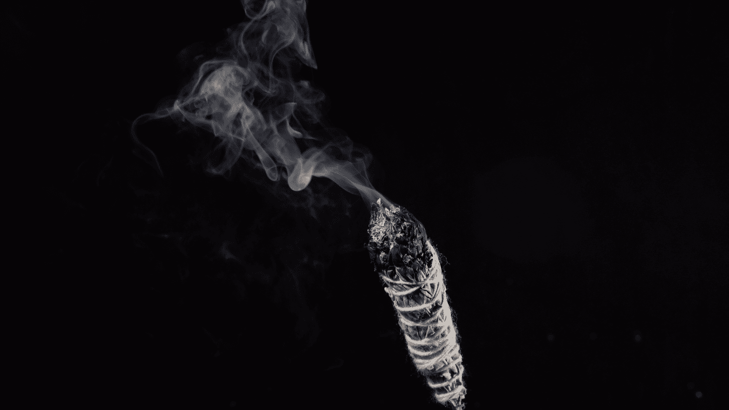 ‘Sage is your friend, not your smudge stick’: Taking back a native ...