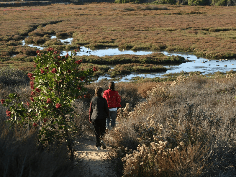 California State Parks Announces $2.8 Million in Grants to Protect ...