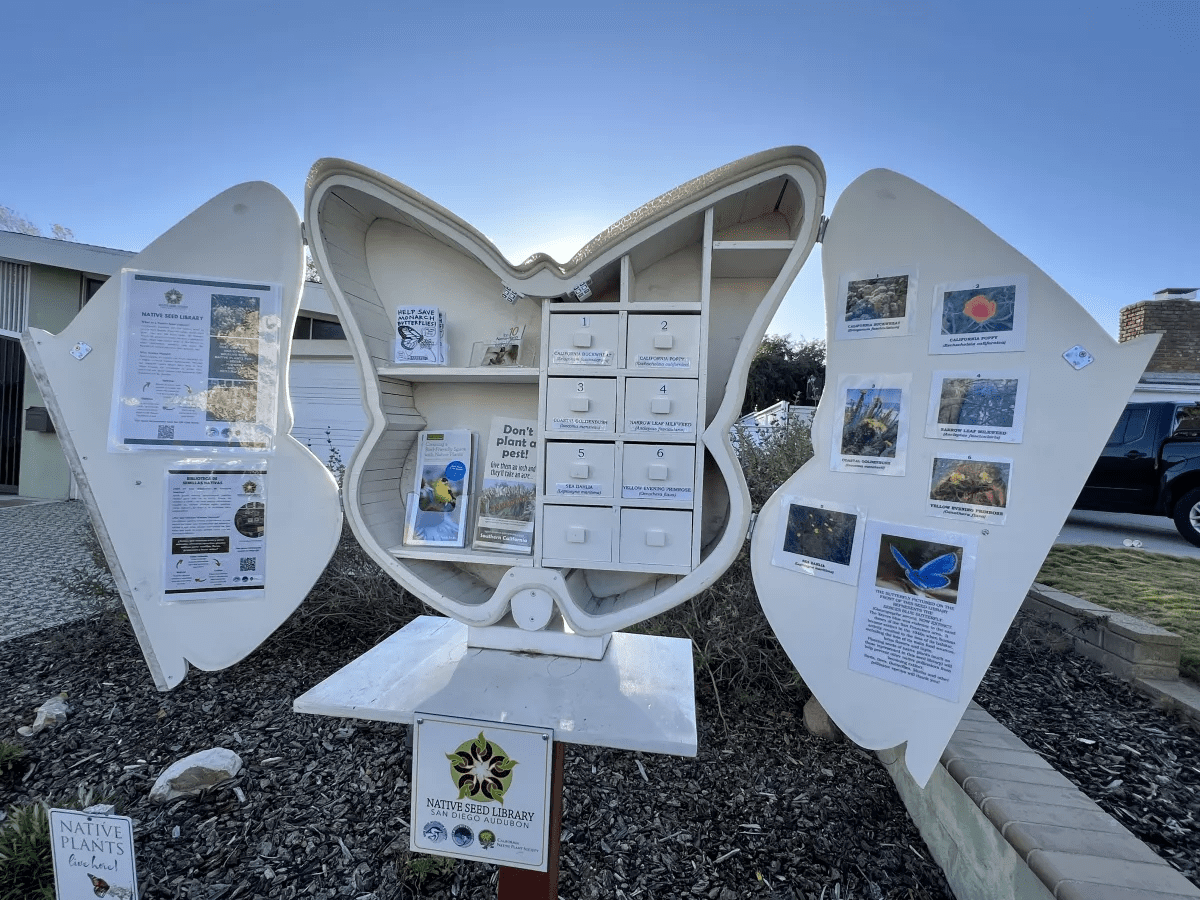 ‘Soledad Mountain Seed Library’: La Jolla resident welcomes locals to ...