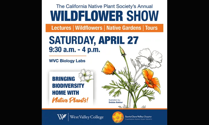 CNPS SCV Wildflower Show - Gottlieb Native Garden