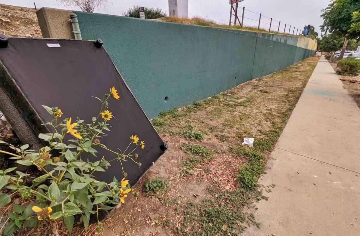 Can volunteers improve this freeway wall with a corridor of native ...