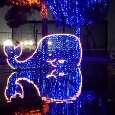 Stay 'CALM:' museum offers native plants, animals - Gottlieb Native Garden