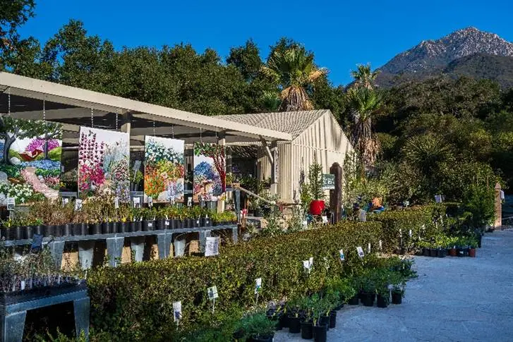 Fall Planting Season Begins October 1 at the Santa Barbara Botanic ...